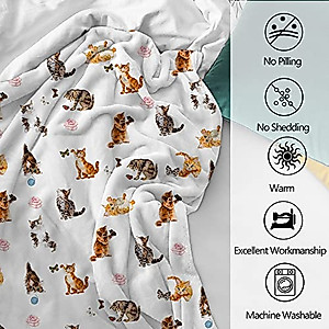 Qnyko Flannel Fleece Throw Blanket 40×50 Inches, Extra Cozy Soft Warm Microfiber Fleece Blanket with Cute Vivid Animal, Lightweight Fluffy Fuzzy Plush Blanket for Kids Youth Adults (Cat Chocolate)