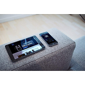 SVS SB-1000 Pro Sealed Subwoofer (Black Ash)