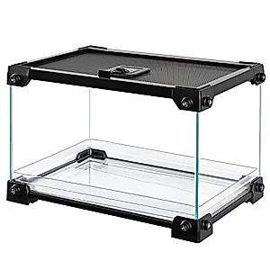 OIIBO Small Glass Reptile Terrarium 12" x 8" x 8" Top Feeding Reptile Tank Full View Visually Appealing Reptile Amphibians Habitat Enclosure