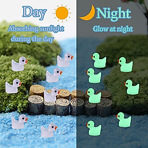 WINMIND 100Pcs Luminous Little Duck Miniature Garden Statue Glow in The Dark Resin Duck Micro Landscape Dolls for Gnomes Garden Glow Accessories Outdoor Patio Lawn Yard Decoration