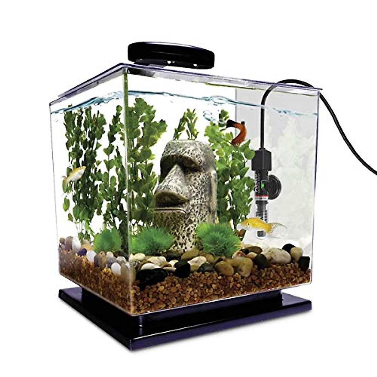 PULACO 25W Small Aquarium Betta Heater with Free Thermometer Strip, Under 6 Gallon Fish Tanks (Preset Temperature 78℉)