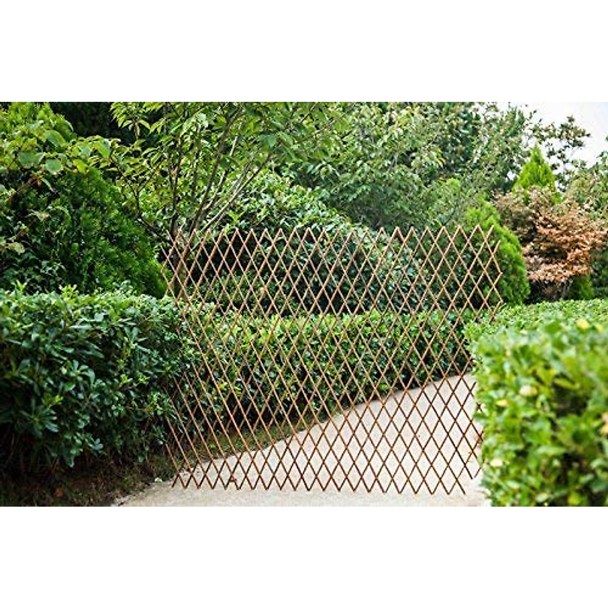 GLANT Lattice Fence Willow Expandable Plant Climbing Lattices Trellis Fence,Open Screen Fencing,Willow (1)