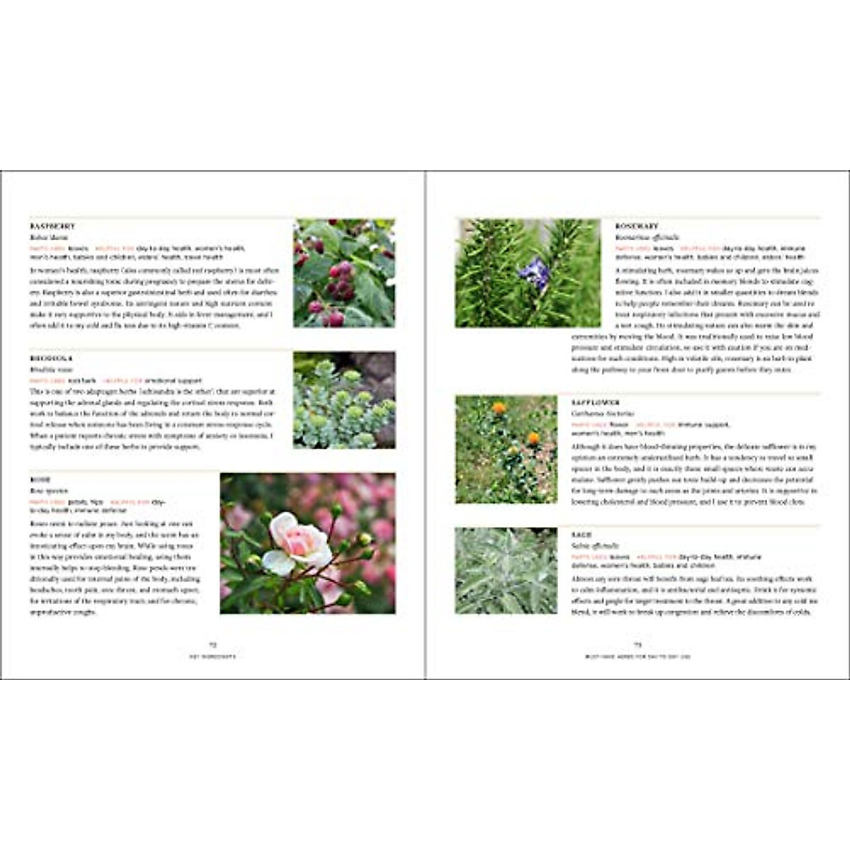 Master Recipes from the Herbal Apothecary: 375 Tinctures, Salves, Teas, Capsules, Oils, and Washes for Whole-Body Health and Wellness