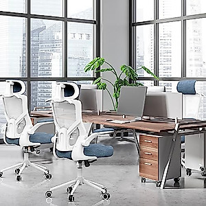 FOKESUN Ergonomic Office Chair