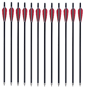TIT-COYO 20 22 Inch Crossbow Bolts and Crossbow Broadheads Set Carbon Crossbow Arrows for Hunting and Outdoor Practice, 12pcs Red Arrows 12pcs Broadheads(24 Pack) (20)