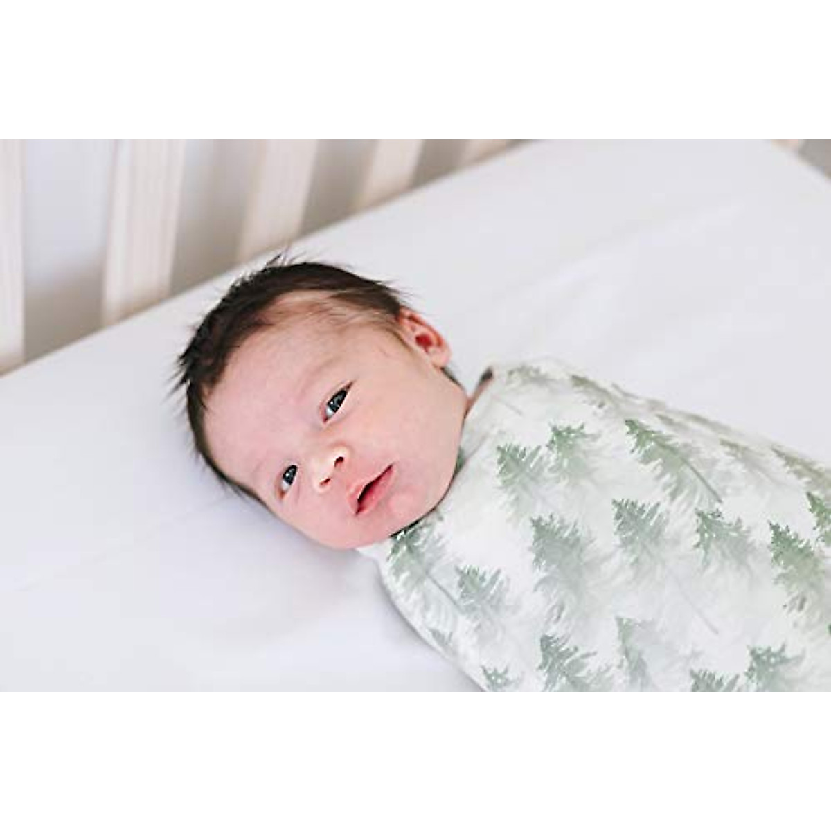 Copper Pearl Large Premium Knit Baby Swaddle Receiving Blanket Evergreen