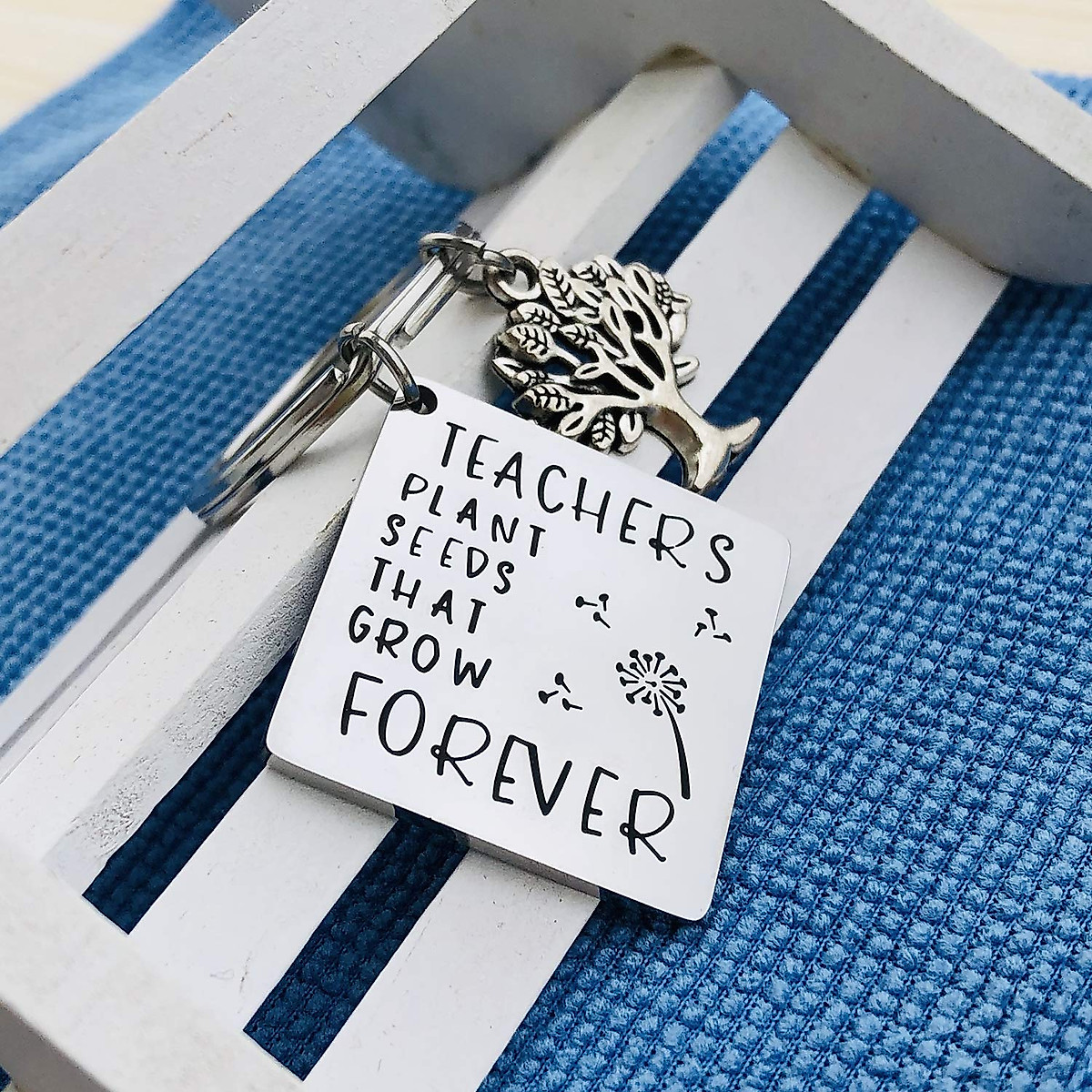 XGAKWD Teacher Appreciation Gift Keychain, Graduation Gifts for Teachers, Teachers Plant Seeds That Grow Forever Teacher Gifts Key Chain for Women Men (Tree of Life)