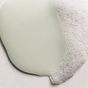 Davines Momo Moisturizing Shampoo for Dry and Dehydrated Hair, 8.45 Ounce