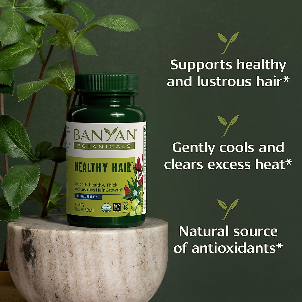 Banyan Botanicals Healthy Hair Tablets – Organic Hair Supplement with Amla & Bhringaraj – Ayurvedic Hair Care for Healthy, Thick & Lustrous Hair* – 90 Tablets – Non GMO Sustainably Sourced Vegan
