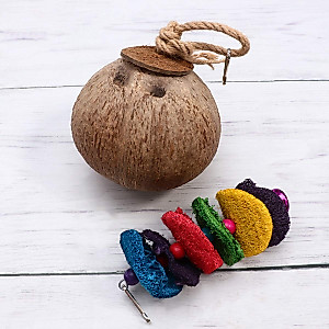 ULTECHNOVO 2pcs Coconut Shell Bird Nest Parakeet Toys for Cage Summer Toys Coconut Bird Toy Bird Toys Hanging Birds with Bells Parrot Shredder Toys Pet The Bird The Bell Wooden