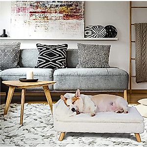 BingoPaw Elevated Pet Bed,Nordic Pet Stool Bed with Cozy Pad Waterproof,Pet Chair with Sturdy Wood Legs for Small Dog Kitten