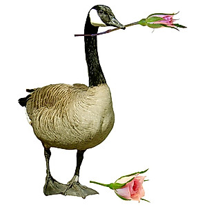 CafePress Canada Goose With Rose Mug 11 oz (325 ml) Ceramic Coffee Mug