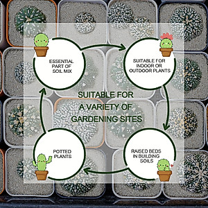 10QT Horticultural Perlite Bulk, Organic Perlite for Plants, Course Perlite for Gardening, for Plants Indoor, for Houseplants, to Promotes Soil Root Growth, and Water Drainage and Plant Growth(3-6mm)