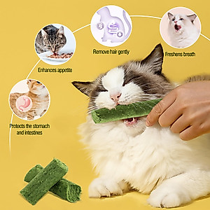 Hkpetie 30g Cat Grass Teething Stick, Delicious Cat Treat Snack Edible Cat Chew Toy for Teeth Cleaning and Hairball Removal in Cats