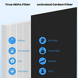 2 Pack Airmega AP-1512HH Filter Replacement Compatible with Coway Airmega AP-1512HH and Airmega 200M, with 2 True HEPA Filter and 8 Carbon Pre-Filters, Replace Part # 3304899