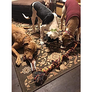 Mountain Dog Chews - Large Split Elk Antler - Elk Antler Dog Chew - Grade A Premium - Organic - Made in USA - No Mess