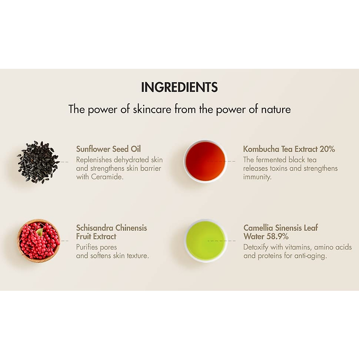 Dr.Ceuracle by leegeehaam Vegan Kombucha Cream Essence (150 ml / 5.07 fl. oz.) - All-in-One Hydrating Serum formulated Kombucha Tea Extract, Paraben Free, Cruelty-Free Korean Skincare