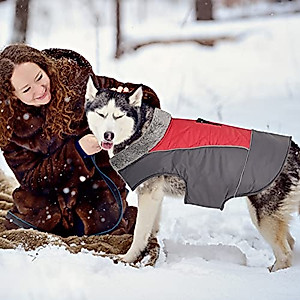 JOYPAWS Reversible Dog Coat, Windproof Waterproof Dog Jacket for Cold Weather, Warm Dog Winter Clothes Reflective Two-Tone Pet Apparel with Fleece Collar for Small Dogs Red S