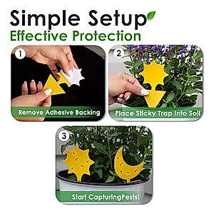 Classy Casita Yellow Sticky Traps - Fungus Gnat Trap, Houseplant Fly Control, Indoor and Outdoor Plant Insect Stakes, Potted Plants Mosquito Pest Bugs Catcher, Gifts for Plant Lovers - 24-Pack