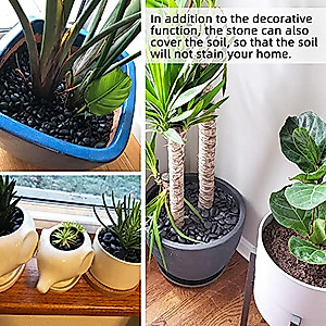 Black Pebbles for Plants 3lb Bulk Bag 1"- 1.5" Aquarium Gravel Decorative Polished Stone Natural River Rocks for Fish Tank…