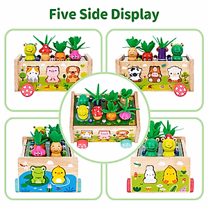 KMTJT Montessori Wooden Toddler Toys for 1 2 3 Years Old Boys Girls, Shape Sorting Toys First Birthday Gifts for 1-2 Years, Wood Animal Farm Car Preschool Educational Fine Motor Skills Toy