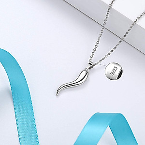 Lucky Italian Horn Pendant Necklace 18K White Gold Over 925 Sterling Silver Cornicello Horn Talisman Necklace Protection Amulet Jewelry for Women Sisters Best Friends Gift FP0061W