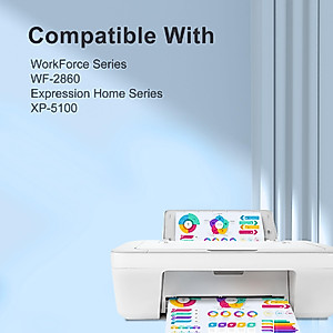 TEINO Remanufactured Ink Cartridge Replacement for Epson 202XL T202XL 202 T202 use for Epson Workforce WF-2860 Expression Home XP-5100 (Black, 2-Pack)