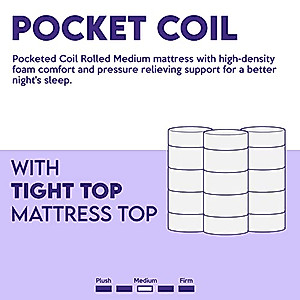 Treaton Pressure Relieving & Cooling High Density Foam Full Mattress - 8-inch Water Proof Vinyl Medium Firm Tight Top Pocketed Coil Rolled Hybrid Mattres with 8” Wood Box Spring, Bed in Box, Green