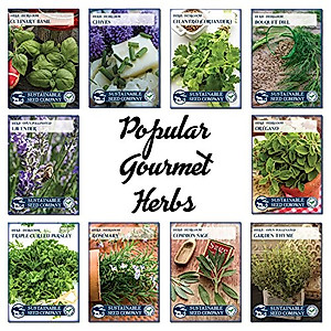 Culinary Herb Seeds Outdoor & Indoor Herb Garden Kit - 10 Herb Garden Seeds for Planting & 8 Instant Soil Pucks - Basil Seeds, Cilantro Seeds, Lavender Seeds, Rosemary Seeds, Thyme Seeds, & More