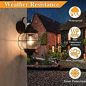 LNC Exterior Porch Light Fixture,17" Large Size Globe Seeded Glass & Metal Cage Frame for Garage, Hallway and Patio, Rustic Bronze Outdoor Wall Sconce