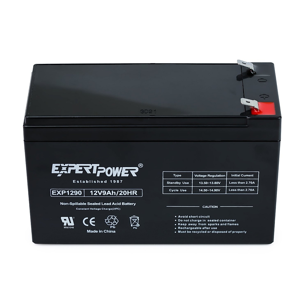 ExpertPower EXP1290 12 Volt 9 Amp Rechargeable Battery