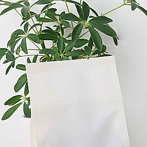 COFFILM Eco Paper Side Gussted Coffee Bag 1kg 32oz / W Valve (50pcs)