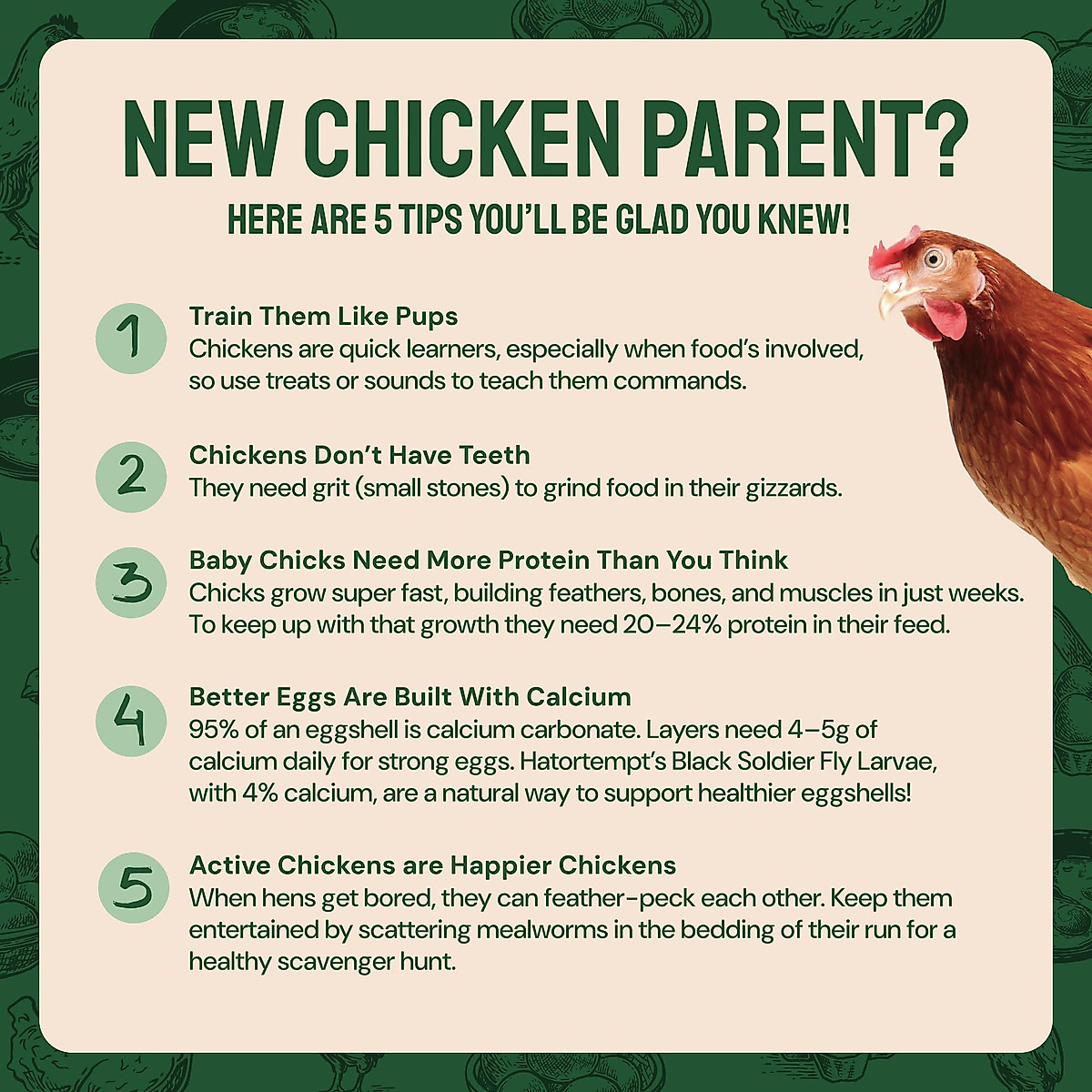 Hatortempt 5 lbs Non-GMO Dried Mealworms-High-Protein Mealworms for Wild Bird ,Chicken, Ducks,Fish,Reptile, Tortoise , Amphibian,Lizard