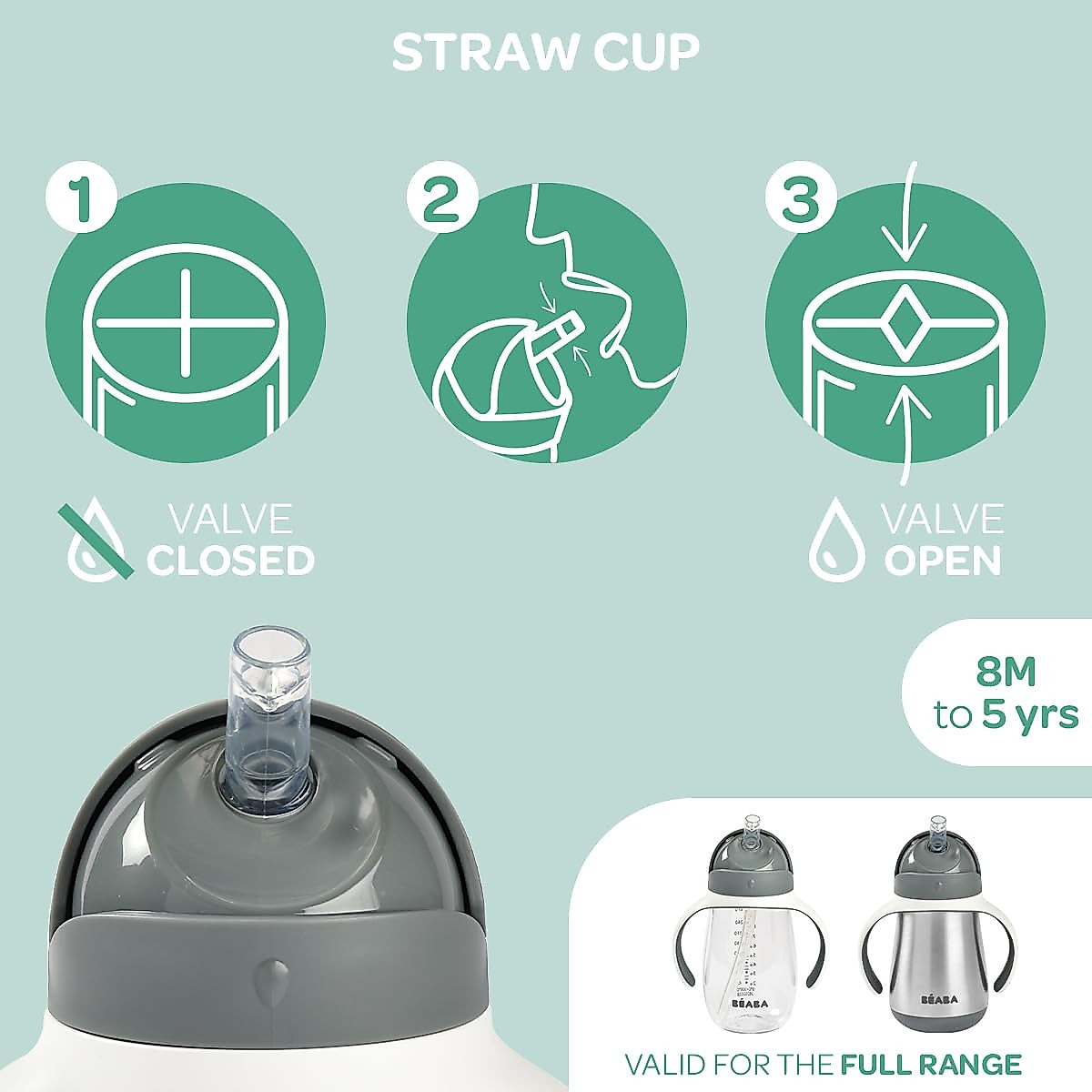 BEABA Straw Sippy Cup, Sippy Cup with Removable Handles, Sippy Cup with Straw, Baby Straw Cup, Toddler Cup, Toddler Straw Cups, 8+ Months, 10 oz, Sage