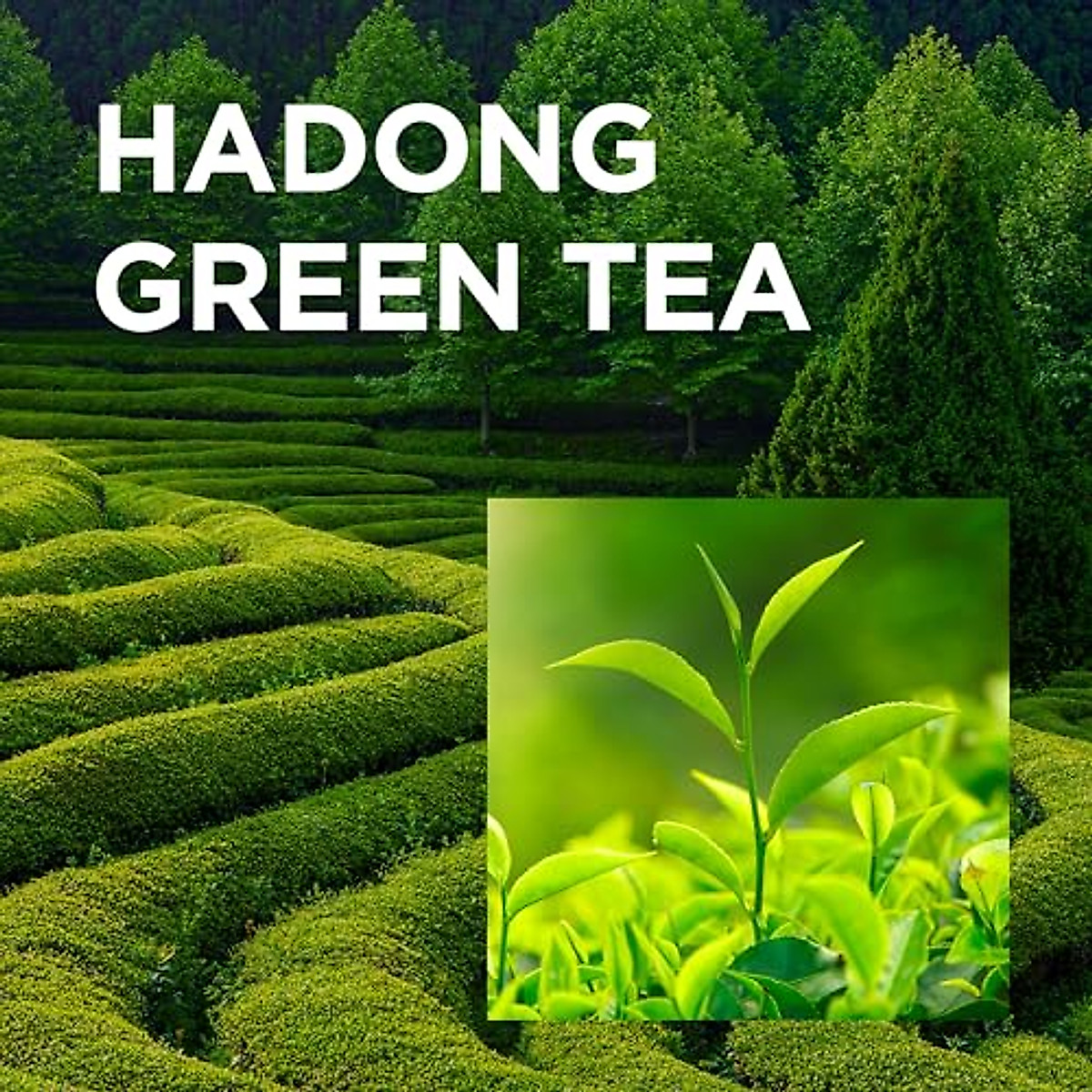 DERMALOGY by NEOGENLAB NEOGEN Real Fresh Foam Cleanser, Green Tea 5.6 Fl Oz (160g) - Soothing & Hydrating Gentle Cleansing Foam with Real Green Tea, Clean Beauty - Korean Skin Care