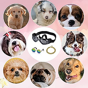 Avaner Dog Costume Set, Cat Sunglasses Set, Pet Glasses, Dog Gold Chain for Cat and Small Dog (3 Pcs)