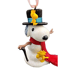 Hallmark Peanuts - Joe Coolest 2006 Ornament QXI3203