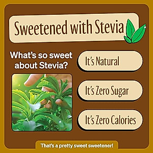 Zevia Zero Calorie Soda, Creamy Root Beer, 12 Ounce Cans (Pack of 24)