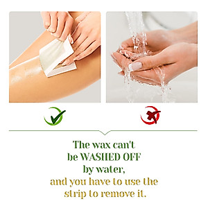 Depilatory Wax Cartridge Roll On for Wax Warmer - PINKZIO Olive Roll On Wax Refills, Wax Roller for Legs and Arms, 3.52 Ounce (Pack of 3) (Not Including Wax Warmer and Strip)