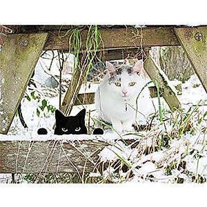 OYMOMYO Metal Yard Art Decor Garden cat Statue, Black cat Statue Decoration Outdoor Garden Ornaments Silhouette décor Cat Gifts for Cat Lovers Spring Decor Outdoor Statues