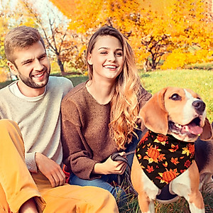 12 Pieces Thanksgiving Pet Bandana Fall Dog Bandanas Dog Fall Clothes Accessories Maple Leaf Pumpkin Patterned Autumn Pet Triangle Scarf Bibs for Large Small Dog Kerchief Cat Pet Fall Outfit Washable