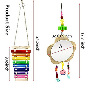 Vehomy 2Pcs Chicken Toys for Hens Chicken Mirror Toy with Bell and Chicken Xylophone Toy for Chicks Hens Roosters