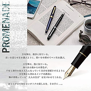 Sailor Pen fountain pen Promenade in fine 11-1031-340 Shining Blue