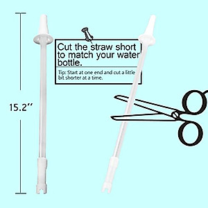 Delove Universal Long Straws for Gallon Water Bottles - Equip Your Bottle with a Straw - Cut Size To Fit Any Bottles- Replacement Straws for Water Jug - Half Gallon/32oz/64oz/128oz - Set of 4