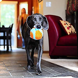 Chuckit! Indoor Fetch Ball Dog Toy (4.75 Inch), Orange and Blue