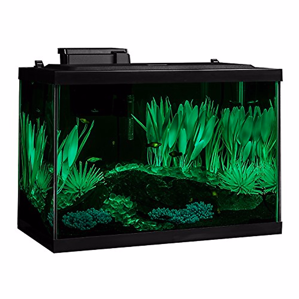Tetra ColorFusion Aquarium 20 Gallon Fish Tank Kit, Includes LED Lighting and Decor