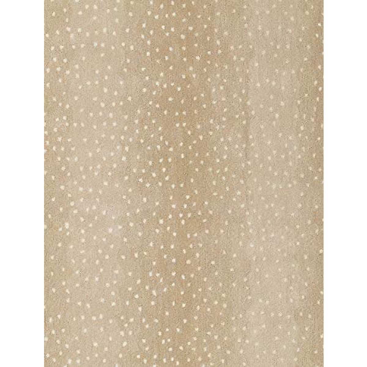Erin Gates by Momeni Woodland Antelope Beige Hand Tufted Wool Area Rug 8'9" X 11'9"
