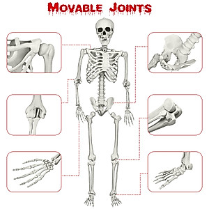 Fovths 5.4Ft/165 cm Pre-Assembled Halloween Skeleton Decoration Life-Size Skeleton Full Body Posable Human Bone with Movable Joints Headband Belt Eye Patch for Halloween Outdoor Yard Haunted House