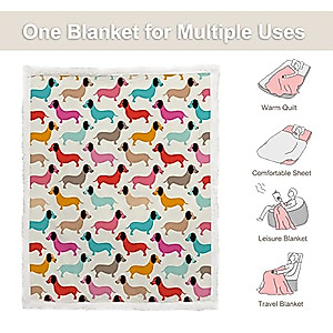 Sleepwish Colorful Dachshund Throw Blanket Puppy Wiener Dog Boys Girls Fleece Blanket Cute Doxies Animal Pattern Soft Warm Sherpa Blankets Bed Throws Daschund Gifts for Women (50"x60")