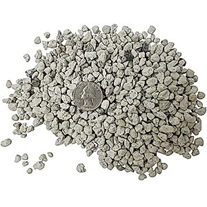 Bonsai, Cactus & Succulent Pumice - Professional Sifted and Ready to Use American … (2.5 Dry Quart)